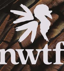 Discover Our Exclusive Range at Southern Maine Strutters