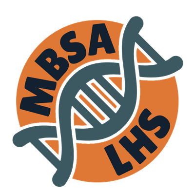 Discover Our Exclusive Range at MBSA-LHS