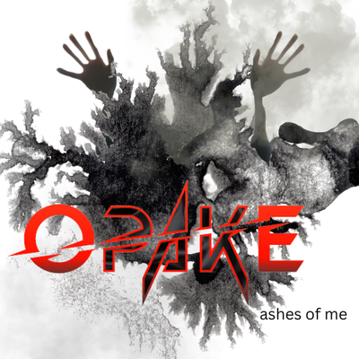 Opake Official Merch | Printify Pop-Up